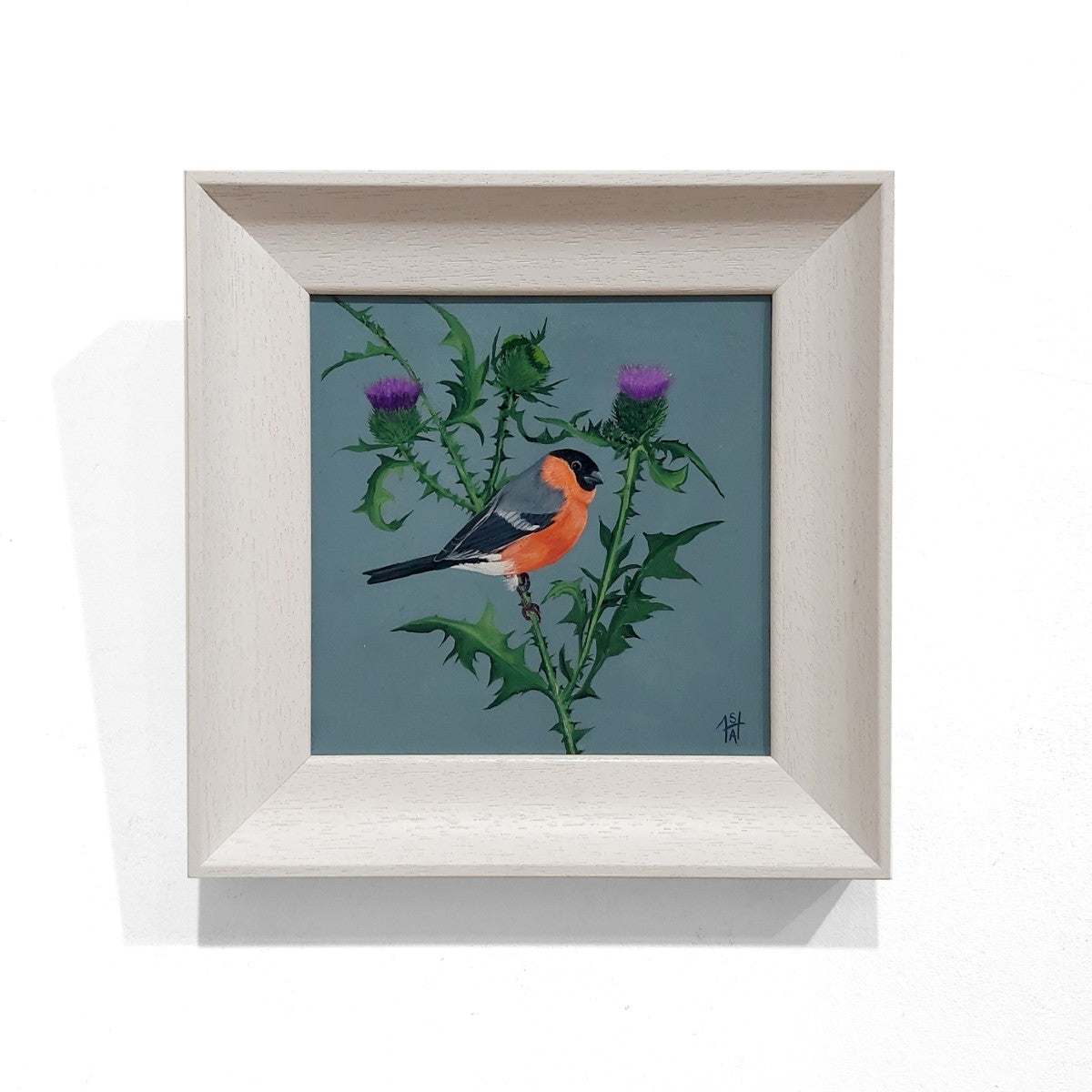 Sheila Anderson Hardy | Bullfinch – ScotlandArt Gallery