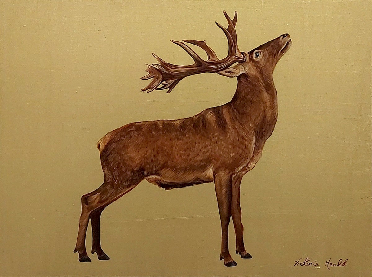 Victoria Heald | Stag II – ScotlandArt Gallery