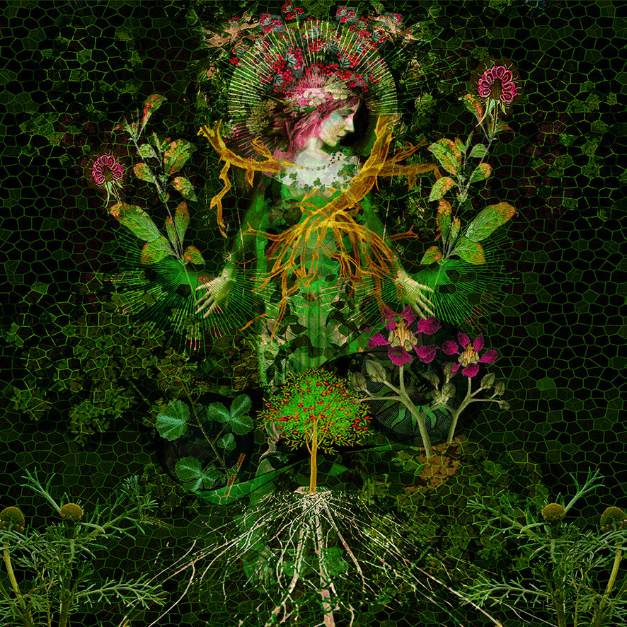 Ashley Cook – ScotlandArt Gallery